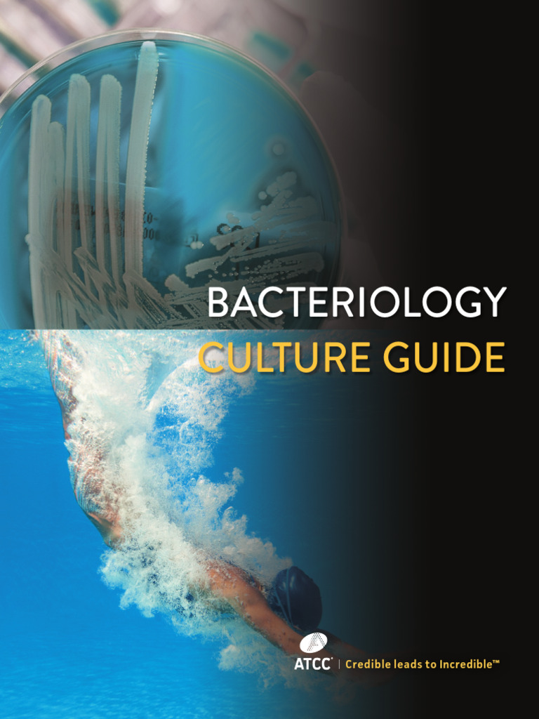 Bacterial Culture Guide | PDF | Growth Medium | Bacteria
