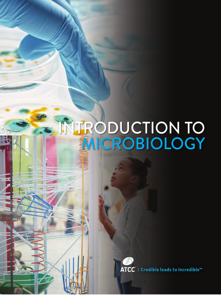 Introduction To Microbiology | PDF | Growth Medium | Microbiology
