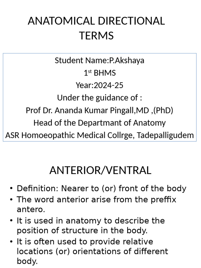 Anatomical Directional Terms | PDF | Anatomical Terms Of Location | Lung