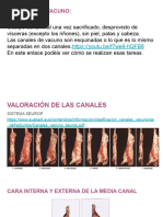 Guia de Comandos Mu Season 6 e 15 | PDF