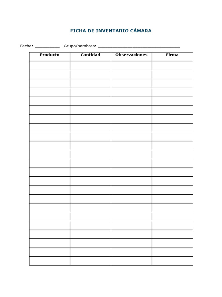 Fichas Inventarios | PDF