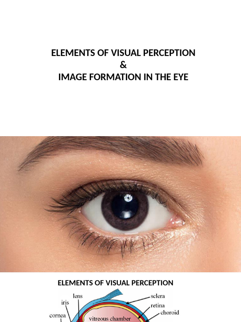 4. Elements of Visual Perception | PDF