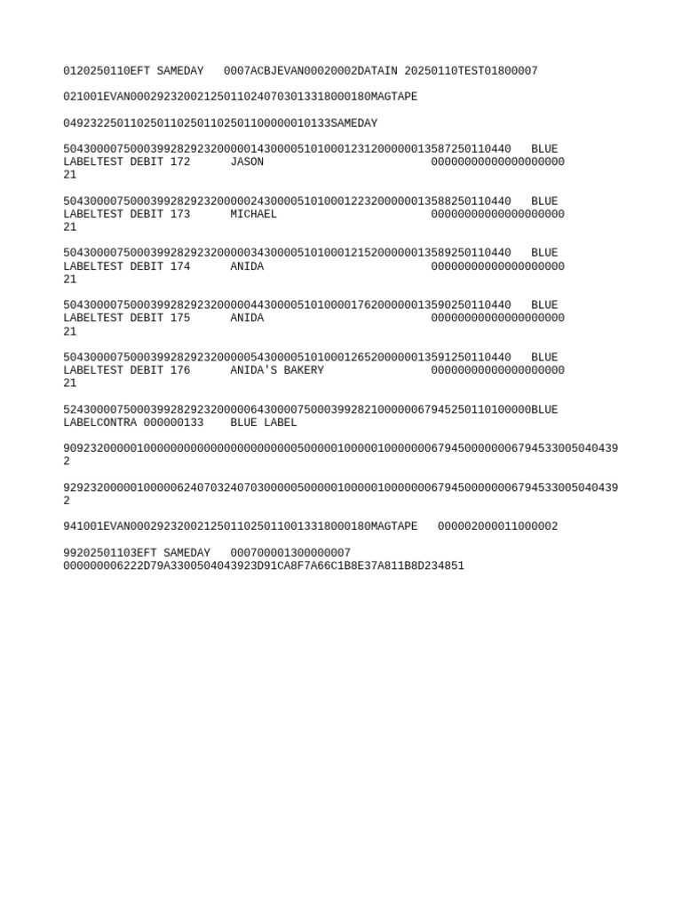 Financial Transaction Report | PDF