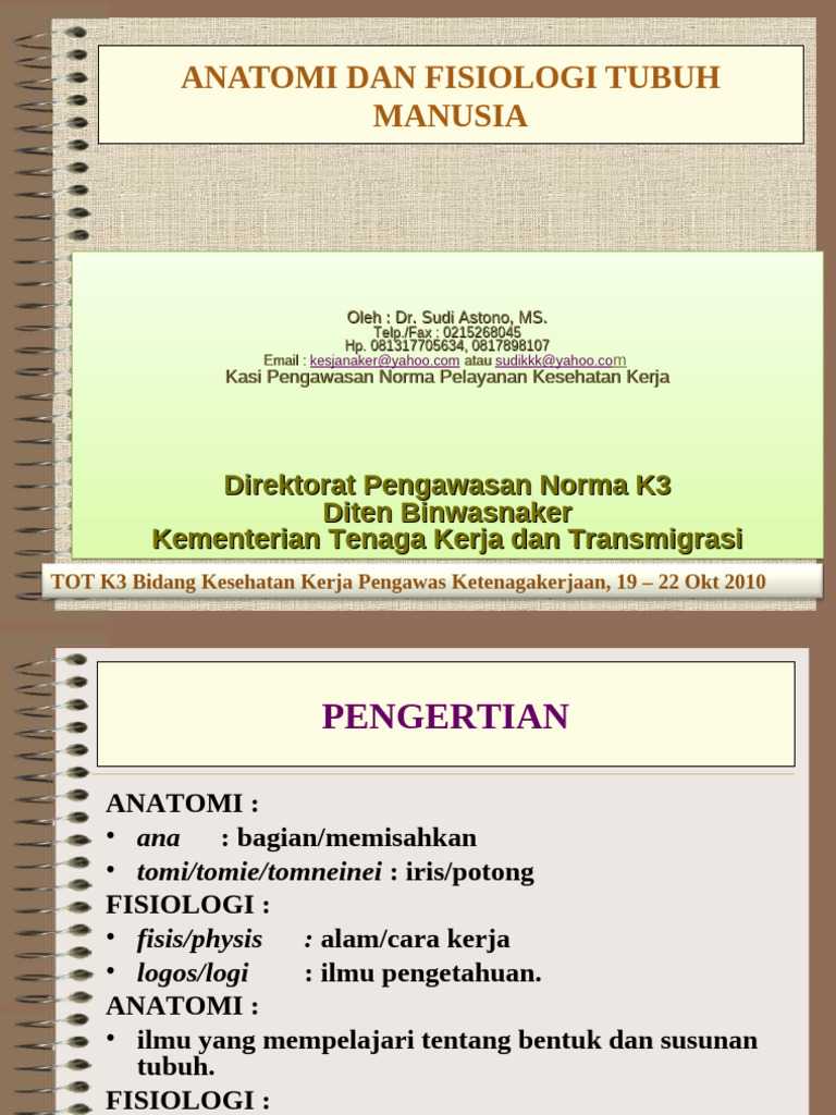 ANATOMI DAN FISIOLOGI Ed Okt 2010 | PDF