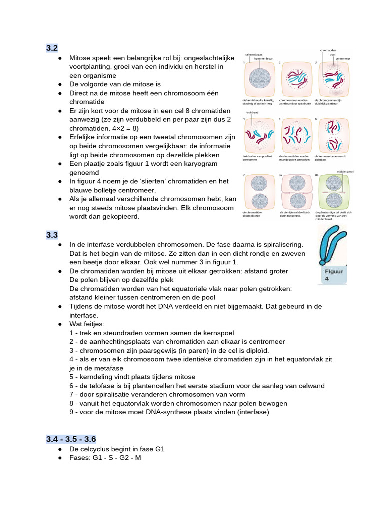 Stof Uit Opdrachten H3 en H7 | PDF