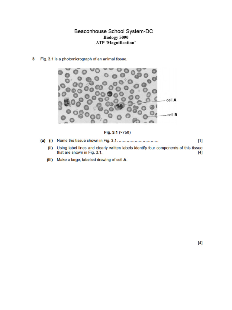 Bio Worksheet HW | PDF