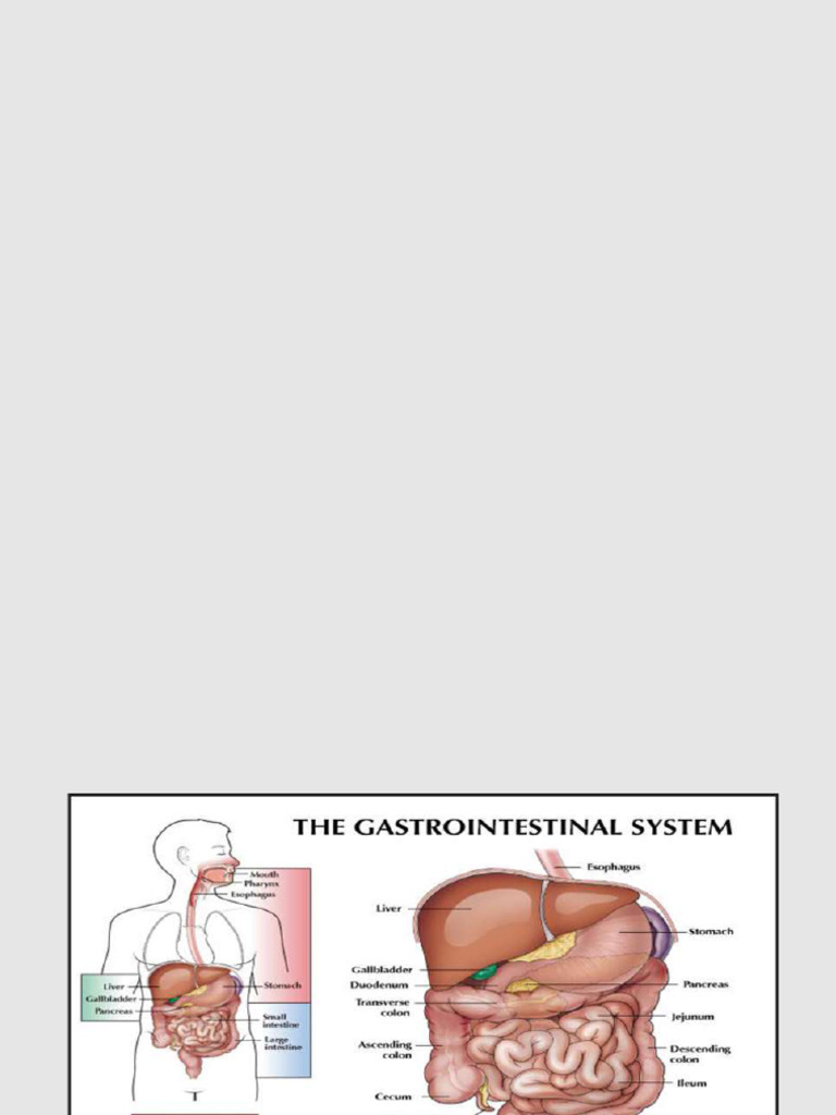 GERD, Hernias, Achalasia | PDF | Gastroesophageal Reflux Disease ...