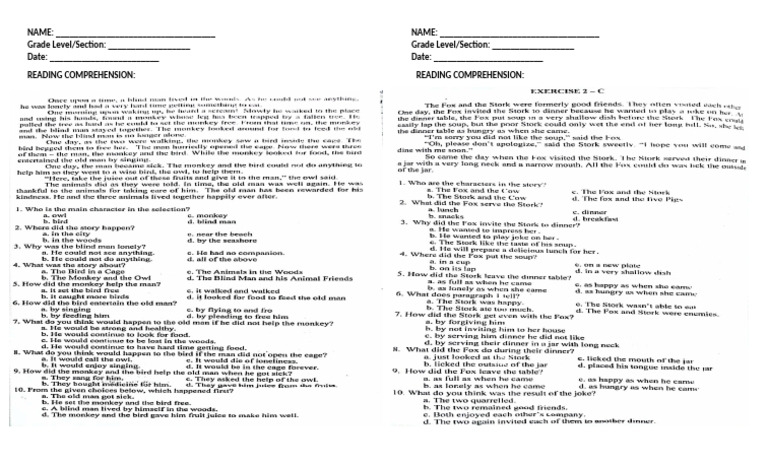 English Reading Comprehension | PDF