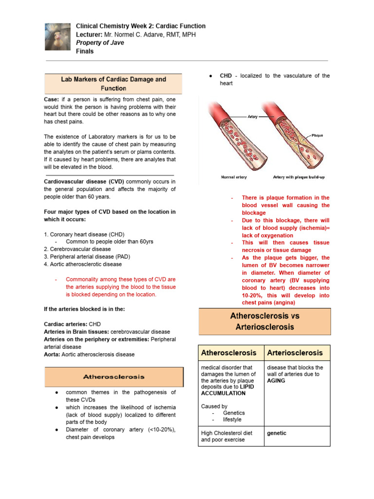 CC1 Finals W2 Cardiac Function | PDF | Atherosclerosis | Atheroma