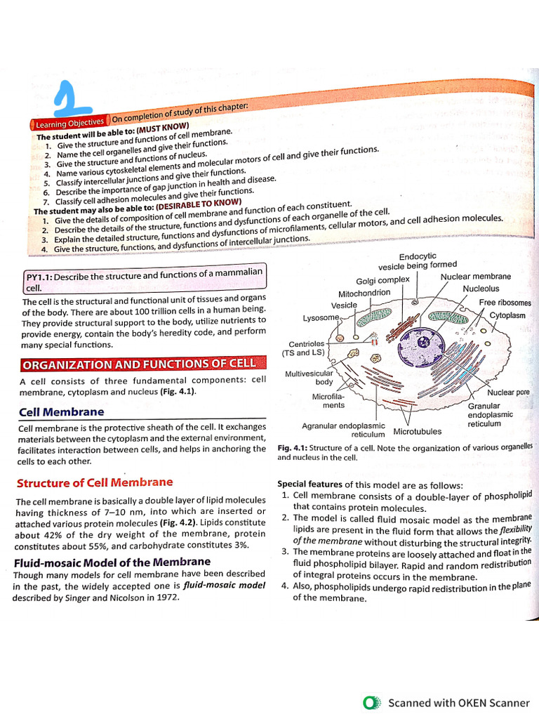 Physiology Question Answers(Living Bots) | PDF