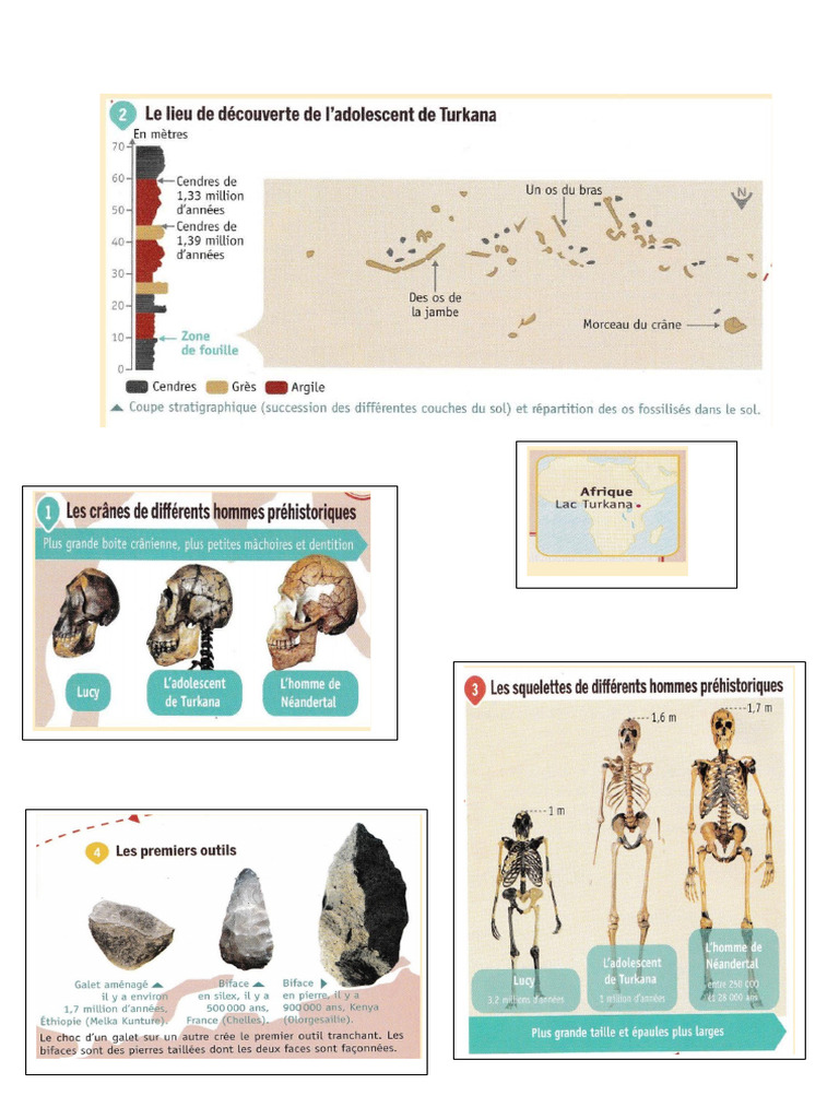 Tache Complexe | PDF