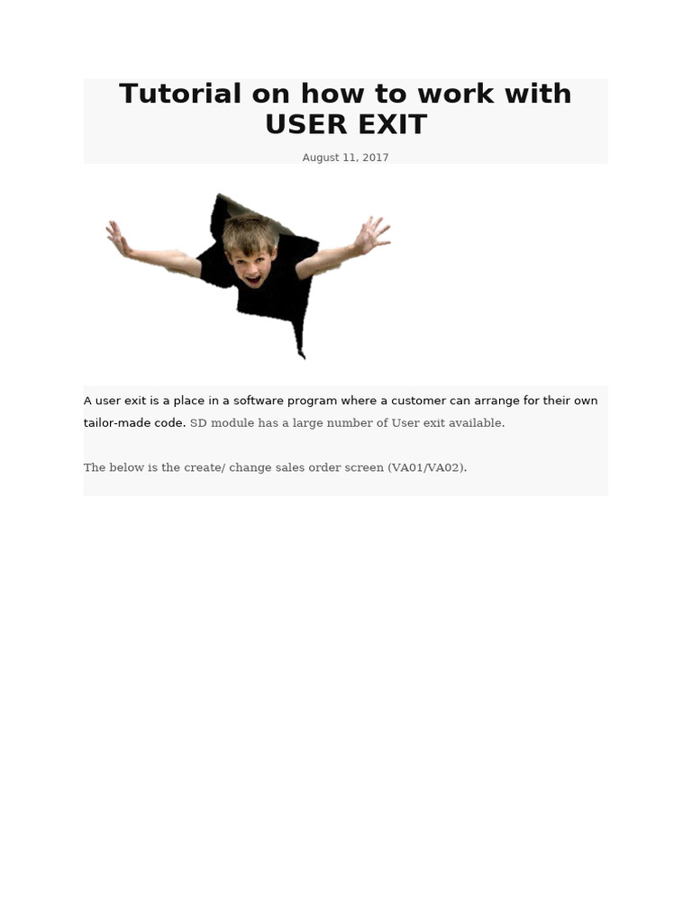 User Exit Tutorial for SAP SD Module | PDF