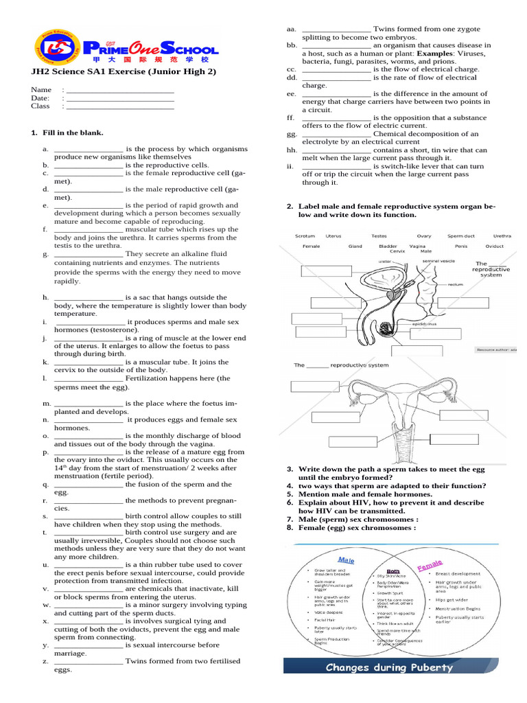 JH2 Science SA1 Exercise: Reproduction & Electricity | PDF | Sex ...