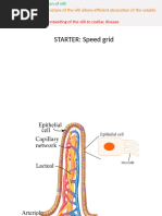 Adaptations of the Small Intestine for Absorption | PDF