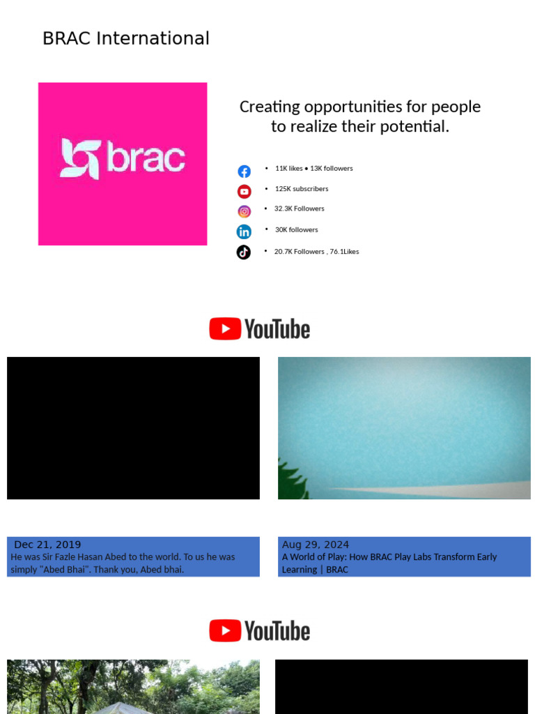 BRAC International Analysis-Old | PDF