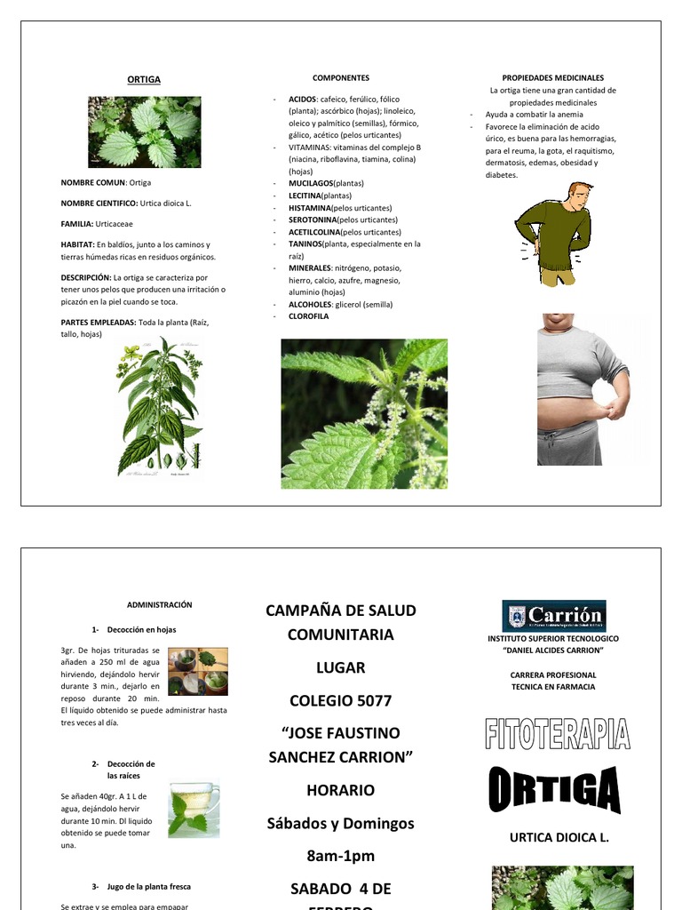Triptico Ortiga | PDF
