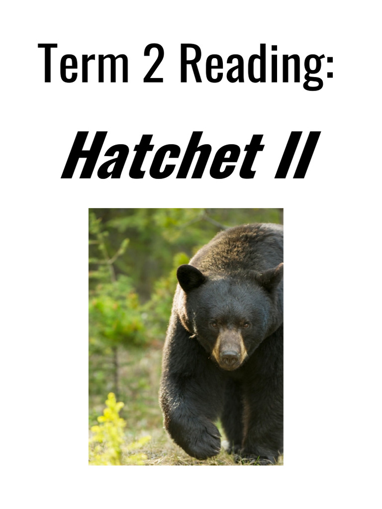 Hatchet Booklet 2 (CH 5-9) Answers | PDF