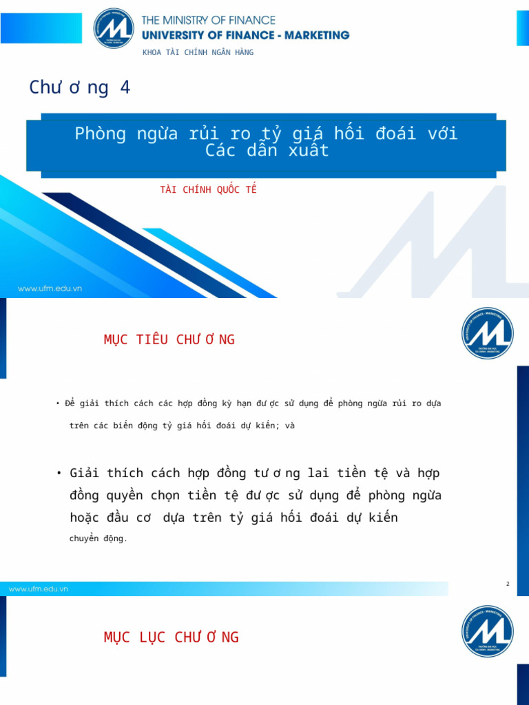 Chapter 4 - Hedging Exchange Rate Risk With Derivatives | PDF