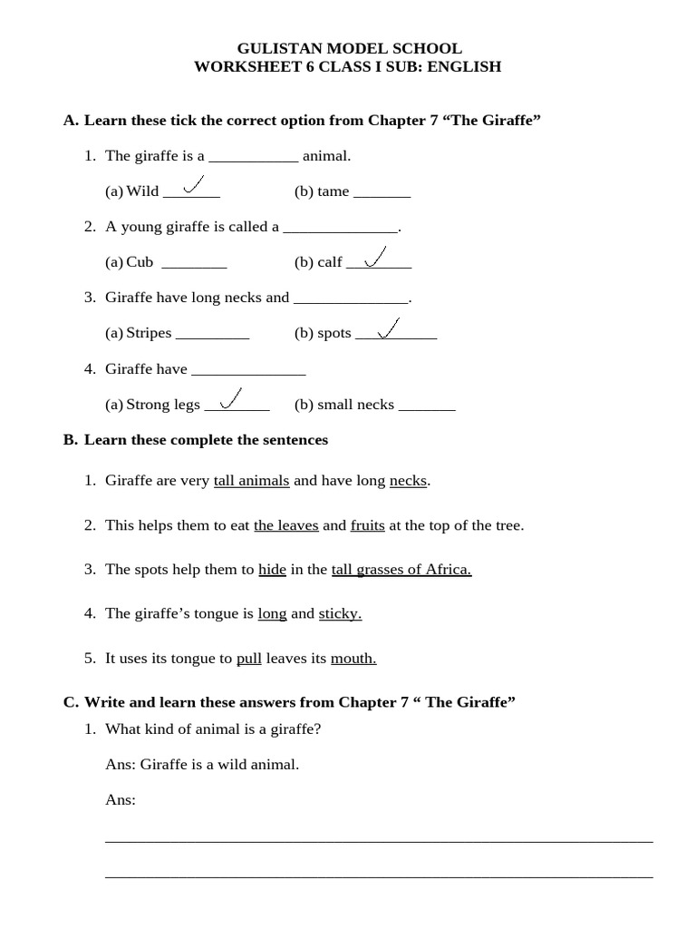 Class I English Worksheet 6 | PDF