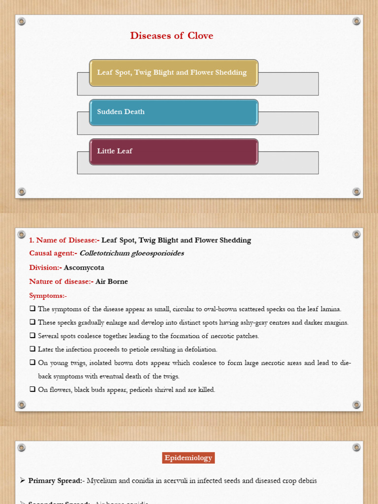 Disease of Clove | PDF | Diseases And Disorders | Leaf