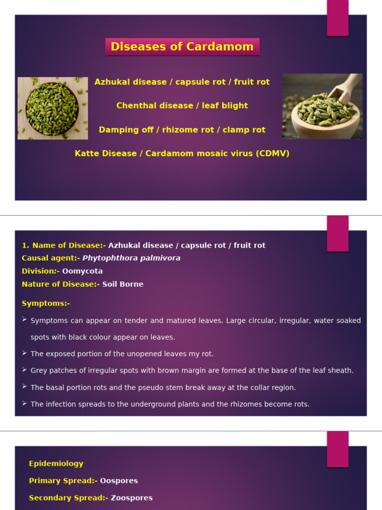 Diseases of Cardomom | PDF | Botany | Plants