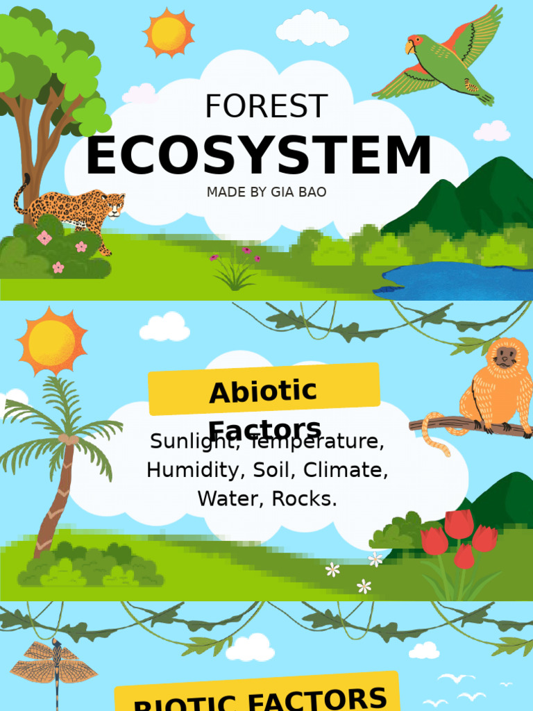 Blue and Green Illustrative Exploring Biodiversity Presentation | PDF