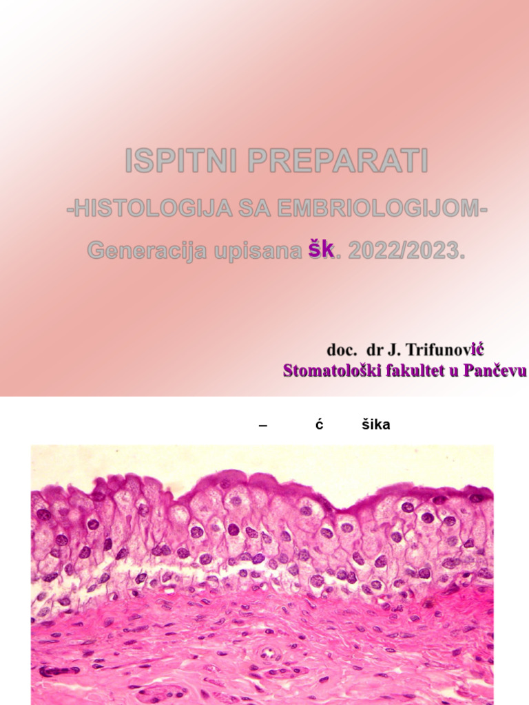 PREPARATI Ispit, 2023 | PDF