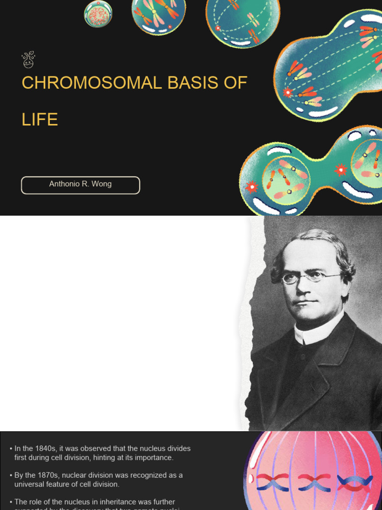 5 Chromosonal Basis of Life | PDF | Meiosis | Mitosis