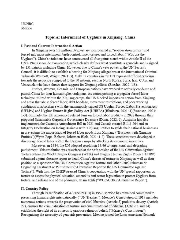 BMUN - THIMUN Position Paper Example | PDF | Palliative Care | End Of ...