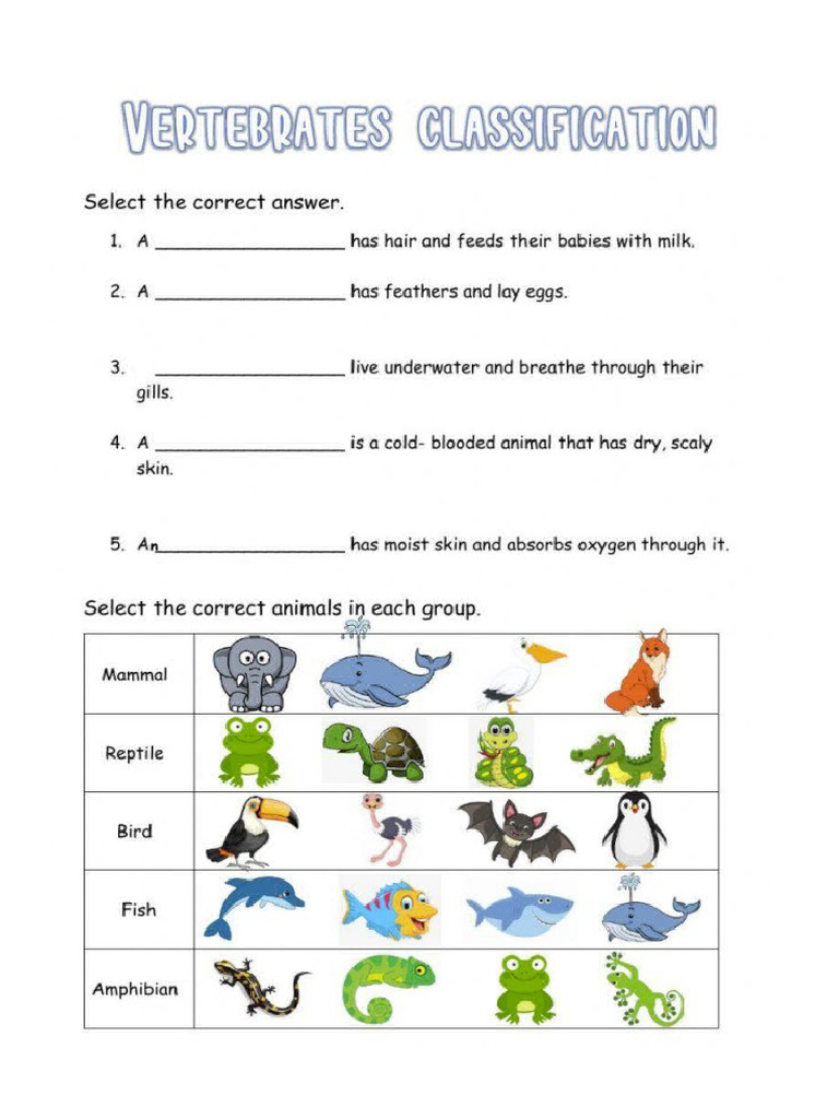 Vertebrates Worksheet | PDF