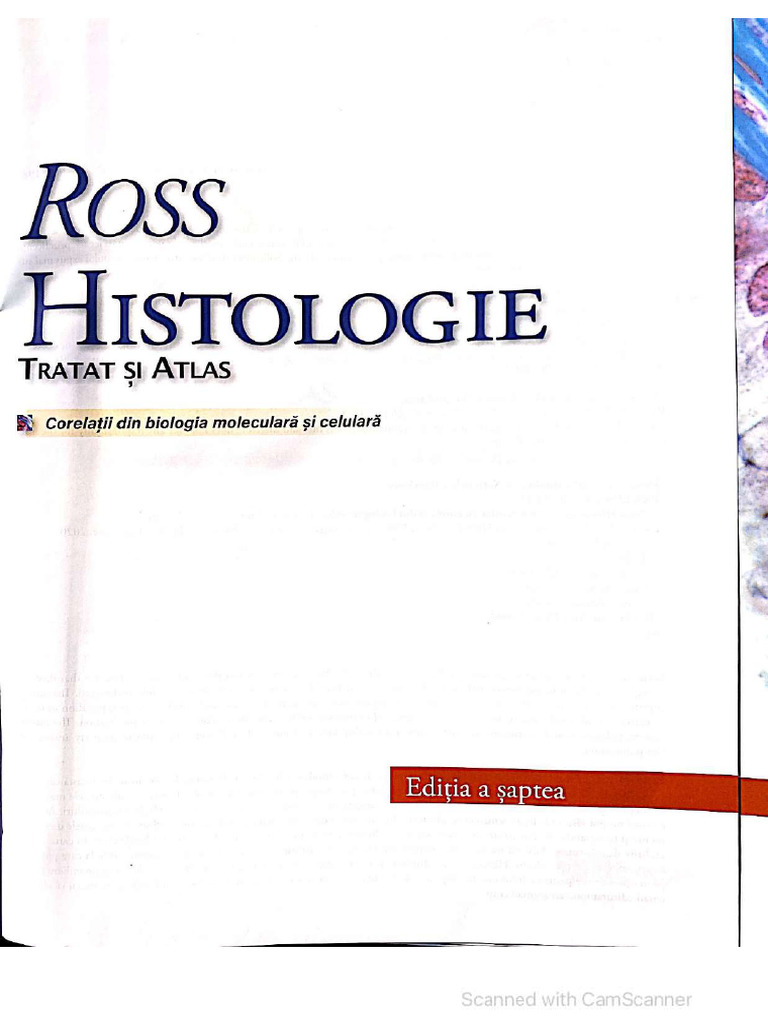 Tratat Ross | PDF