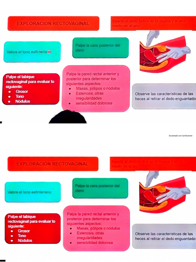 Semio Aparato Femenino | PDF