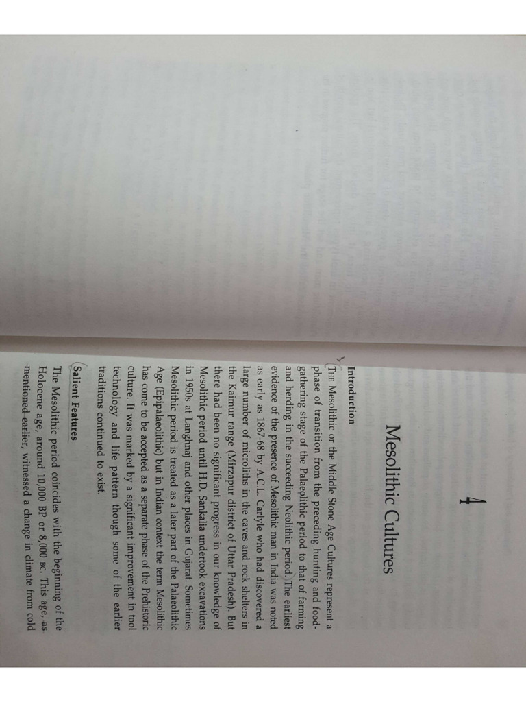 V.K.jain Mesolithic | PDF