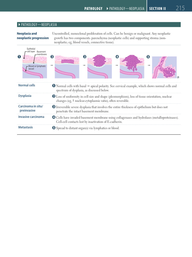 First Aid For The USMLE Step 1 2024 34th Edition Medicalstudyzone-1 ...