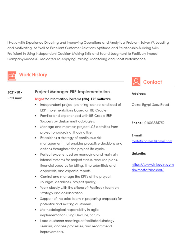 Mostafa Bashar CV 2024 | PDF | Enterprise Resource Planning | Technical ...