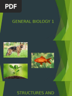 Specialised Animal Cells - Living Organisms - KS3 Biology - BBC ...