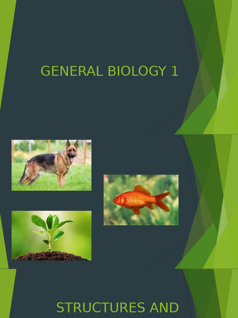 GENBIO-PT2 | PDF | Leaf | Cell (Biology)