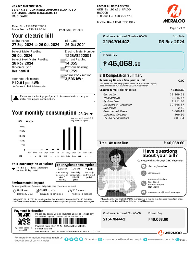 November 2024 Electric Bill Summary | PDF | Economies
