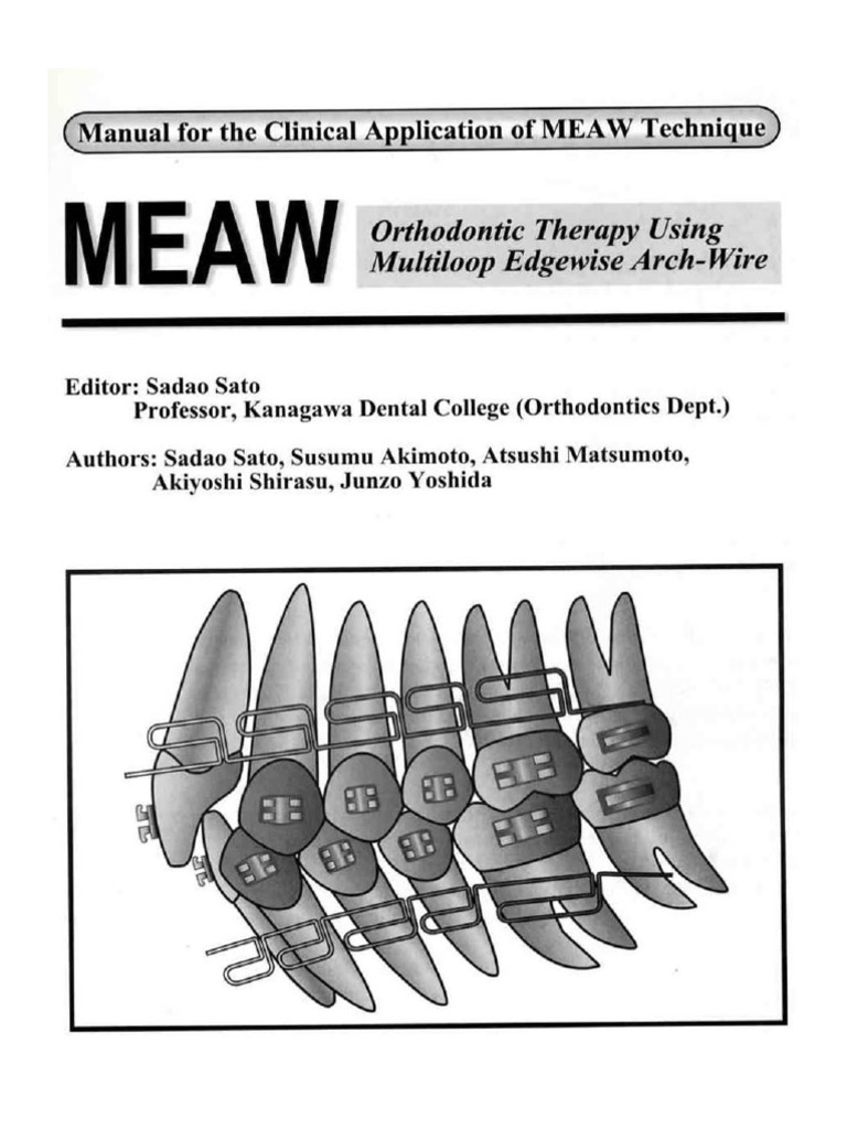 LIBRO MECANICAS MEAW.ppt | PDF