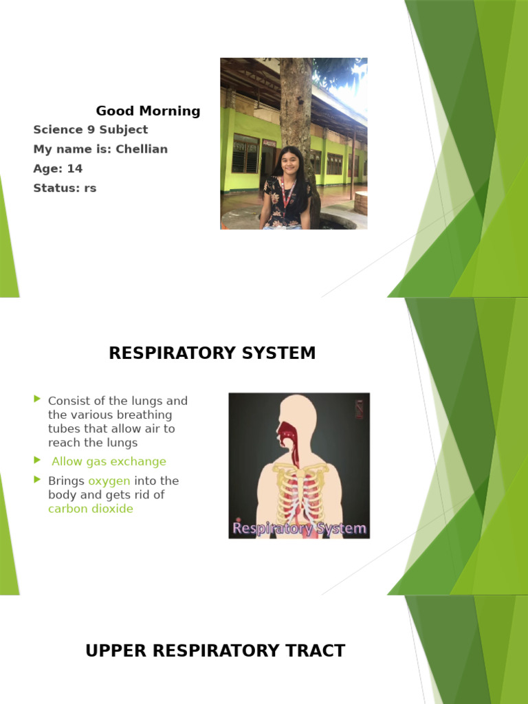Science 9 Lesson 1 | PDF