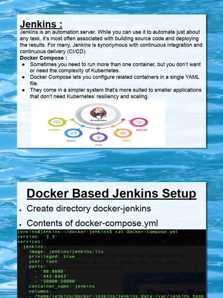 docker-jenkins-setup (2) | PDF