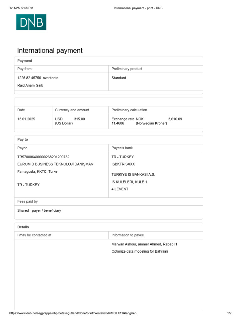 International Payment - Print - DNB | PDF