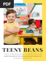 Aistear Siolta Practice Guide Introduction | PDF | Learning | Curriculum