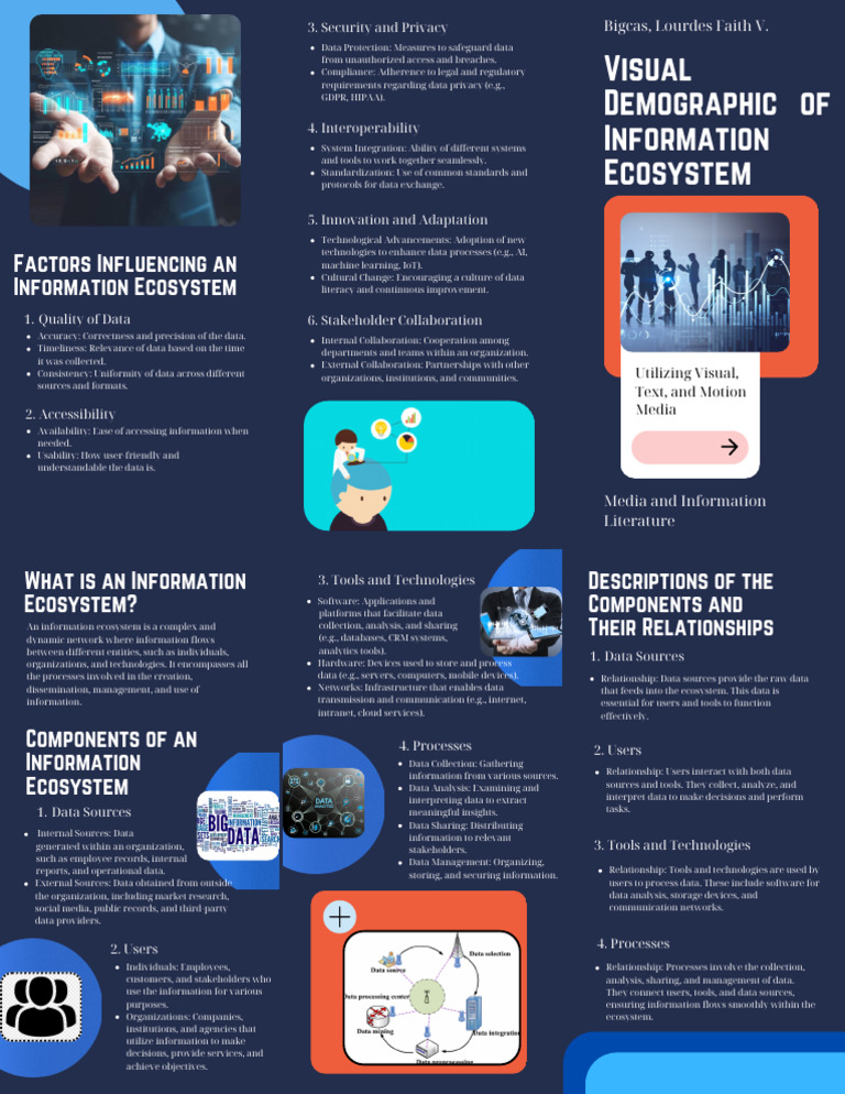 Visual Demographic of Information Ecosystem | PDF | Data | Information