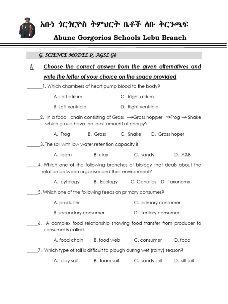 Content://org Telegram Plus Provider/media/android/data/org Telegram ...