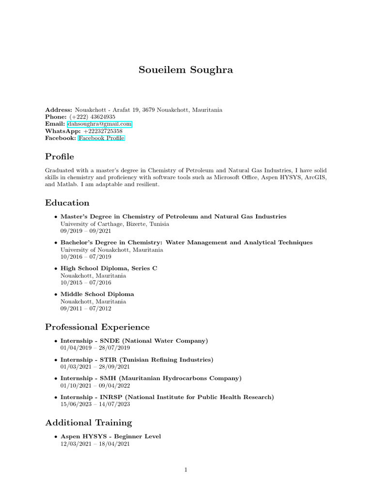 CV Template | PDF