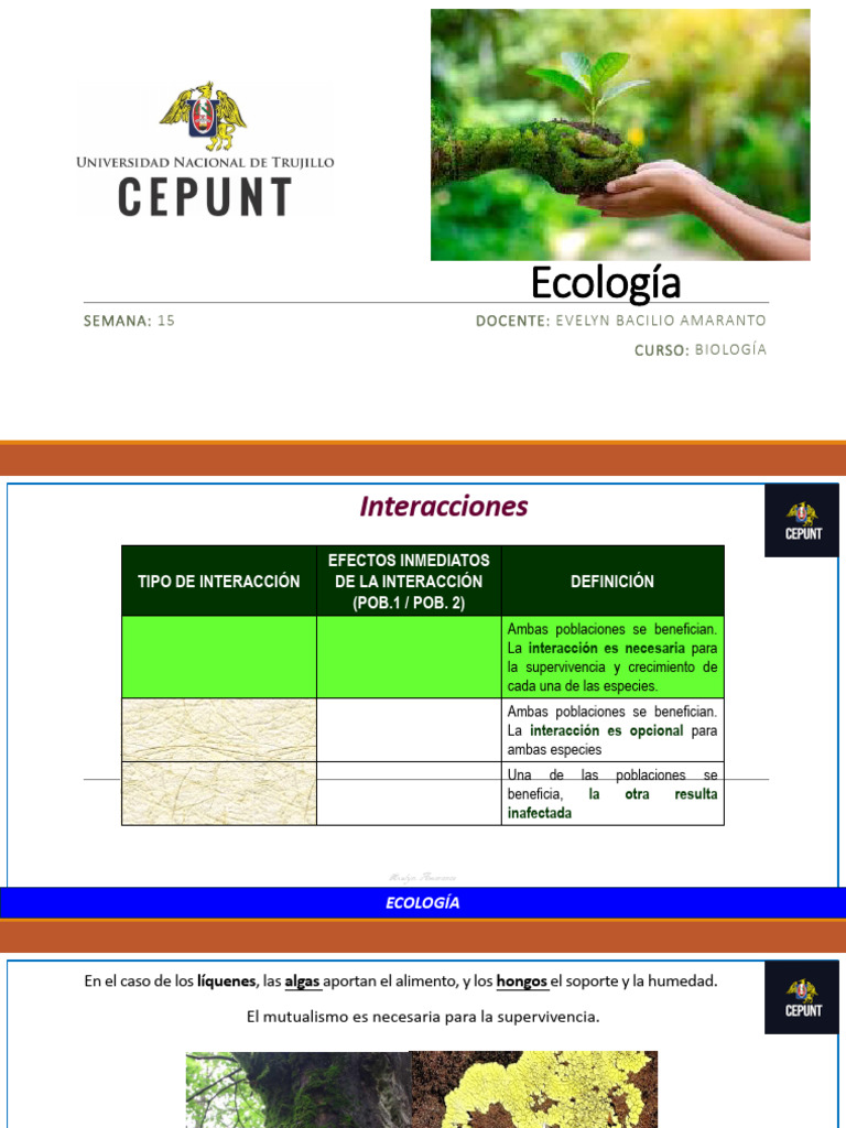 Interacciones Ecológicas y Cadenas Alimenticias | PDF | Ecología