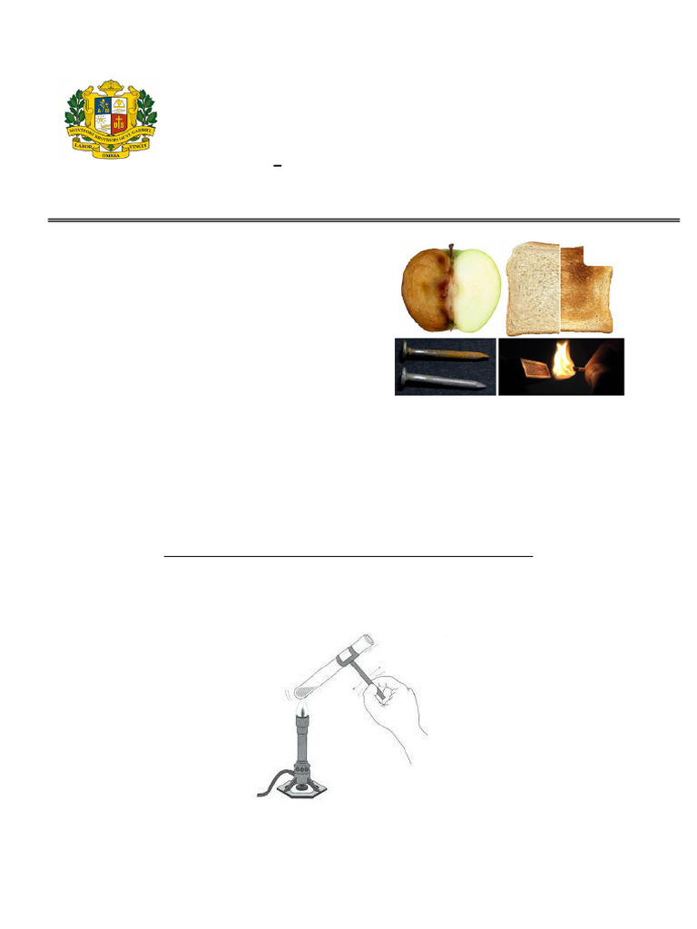 Different Chemical Changes Experiment | PDF | Chemical Substances | Oxide