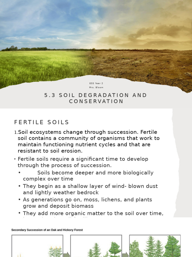 5.3 Soil Degradation and Conservation | PDF | Soil | Soil Fertility