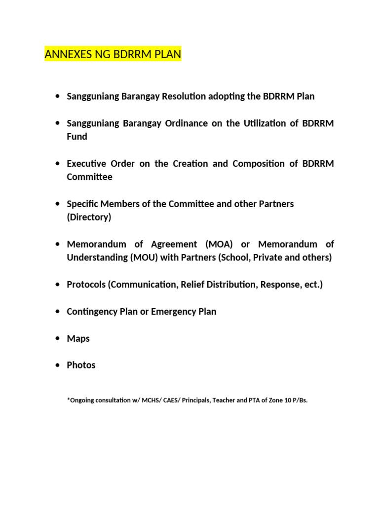 Annexes NG BDRRM Plan | PDF